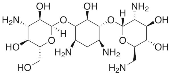 Kanamycin B - LKT Labs