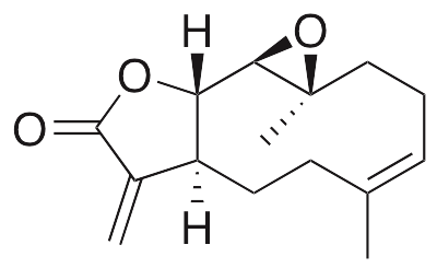 Parthenolide - LKT Labs